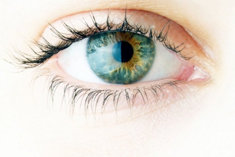 8 alimentos essenciais para manter a saúde dos olhos 8 alimentos essenciais para manter a saúde dos olhos