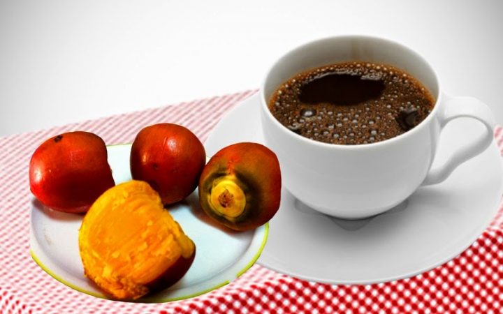 Pupunha: conheça os seus benefícios para a saúde