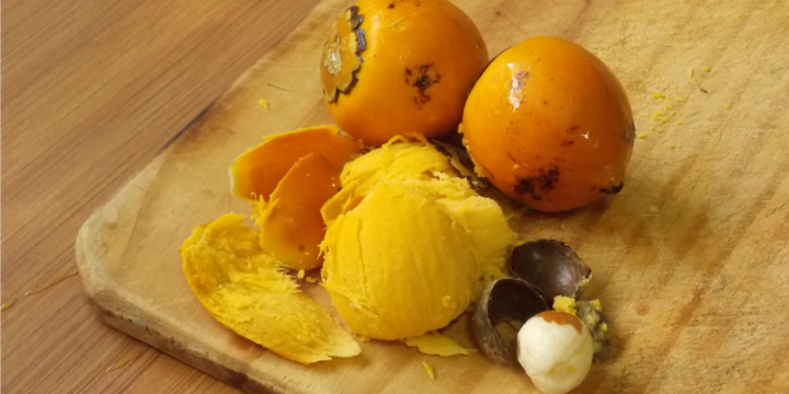 Pupunha: conheça os seus benefícios para a saúde