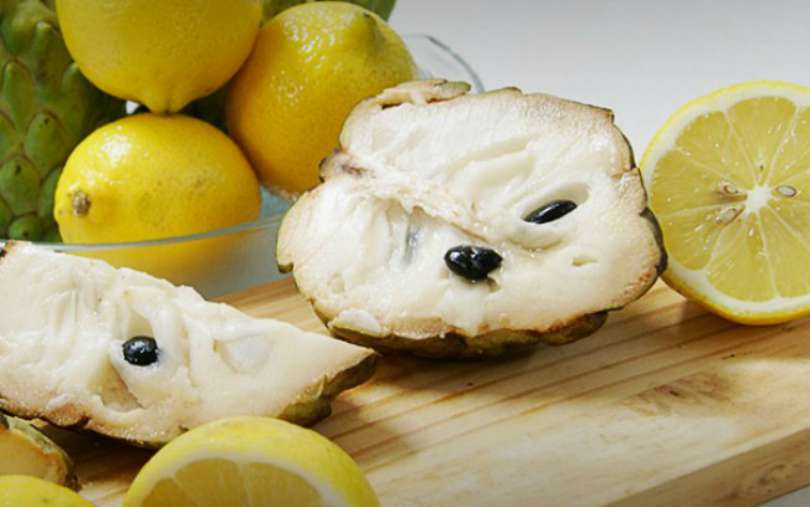 Como consumir atemoia? Confira 5 receitas para saborear a “fruta do conde”