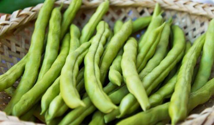 Benefícios da vagem: entenda a sua importância para a saúde