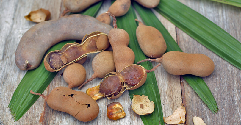 Conheça os 13 benefícios do tamarindo para a saúde e boa forma