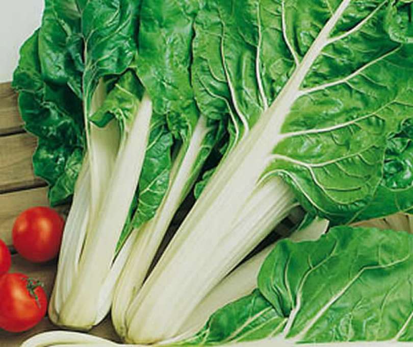 Como consumir acelga? Confira dicas e receitas deliciosas