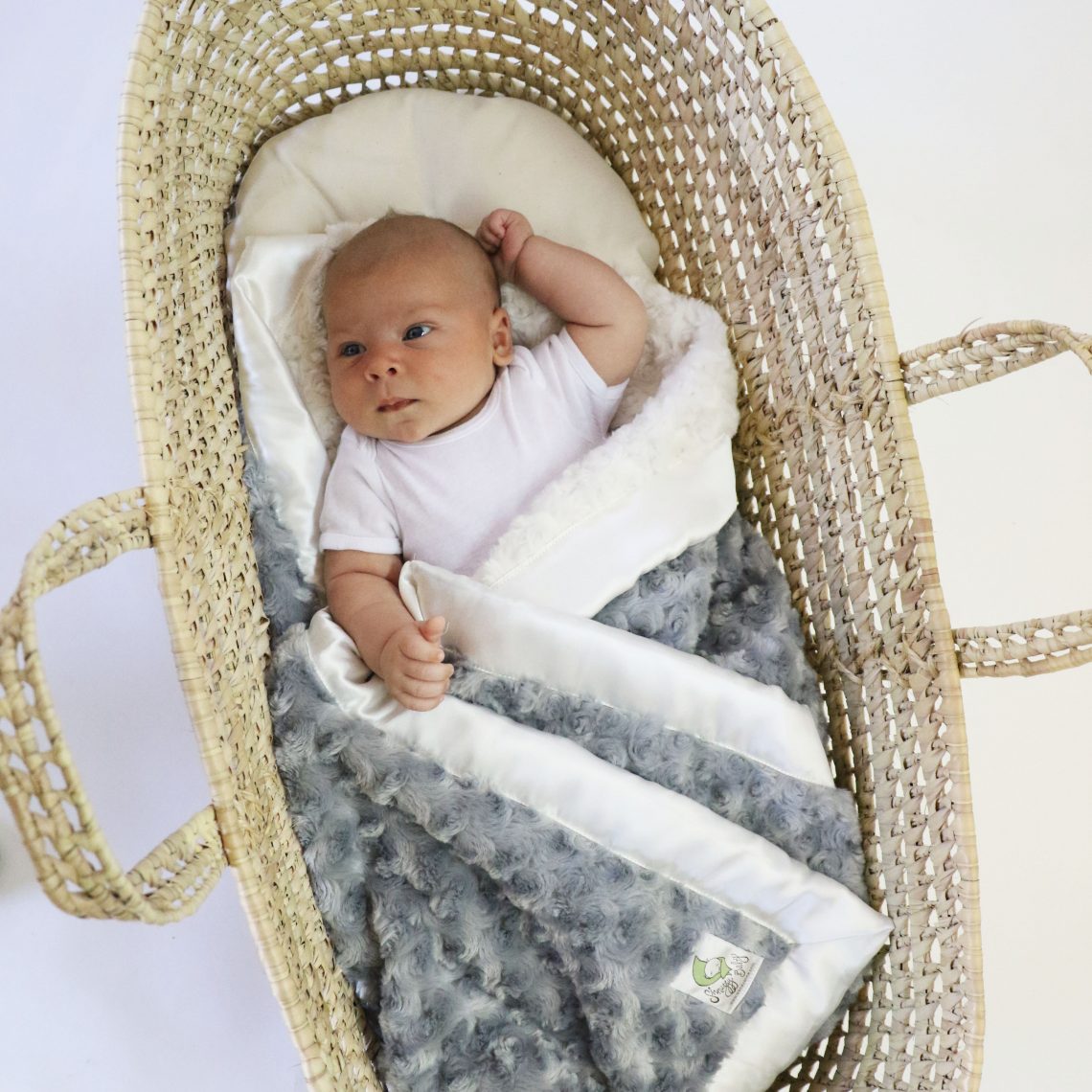 Moisés para bebê: comprar ou não? Veja dicas, fotos e modelos