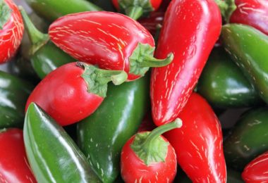 Pimentas mais fortes do mundo: saiba aqui quais são - Tudo Ela