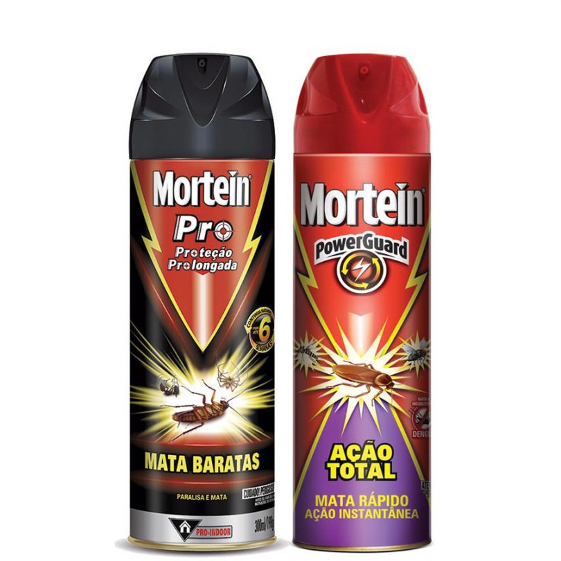 Mata insetos: conheça os mais diversos tipos e sua eficácia - Tudo Ela