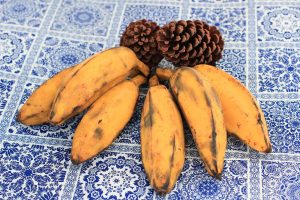 Banana figo: características, benefícios e algumas receitas - Tudo Ela