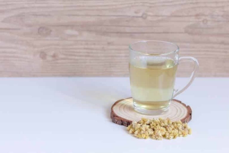 Chá de marcela: confira os benefícios e contra-indicações